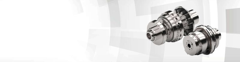 Planox® Saftey Clutches for Extruder Drives